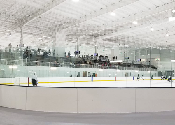 The St. James – Springfield, VA - Rink Systems