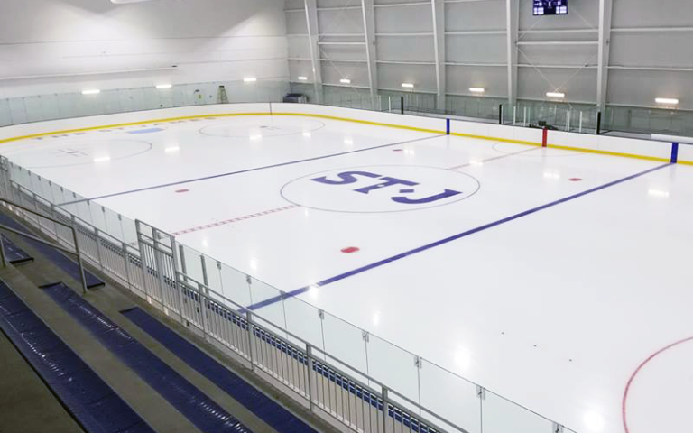 The St. James – Springfield, VA - Rink Systems