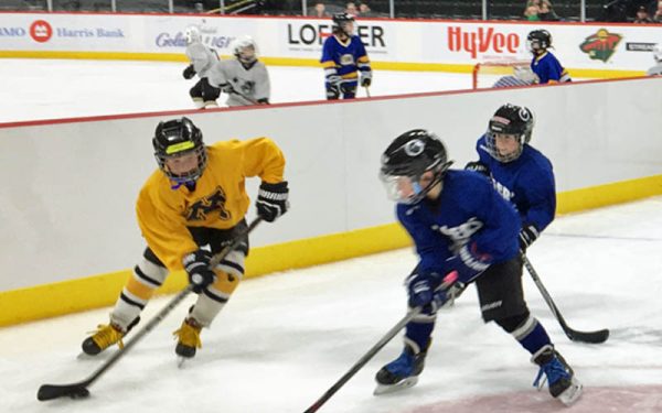 Hard Ice Dividers Enhance On-Ice Experience - Rink Systems